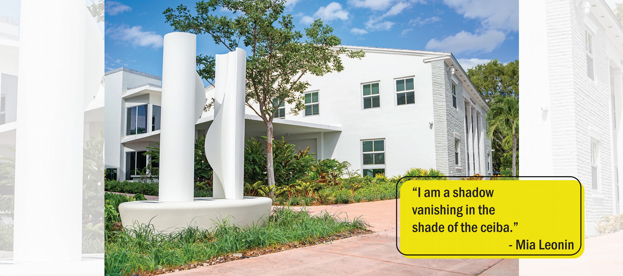 O Miami Dear Human Project